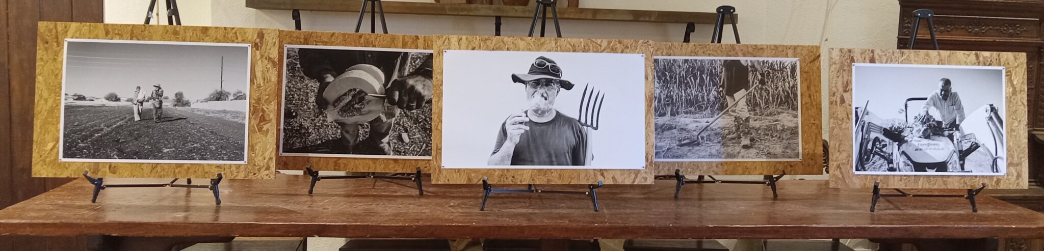 The Artistry of Growing a Community Garden - ArtBeat